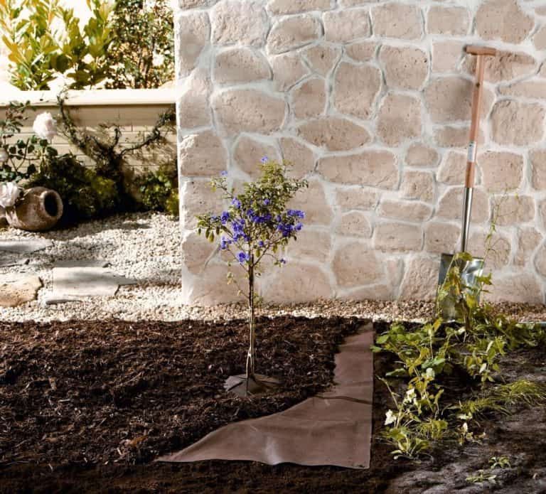 The Ultimate Guide to Mulching & Why Your Garden Loves It!