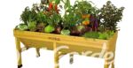 VegTrug Review: The Easiest Way to Grow Vegetables at Home?