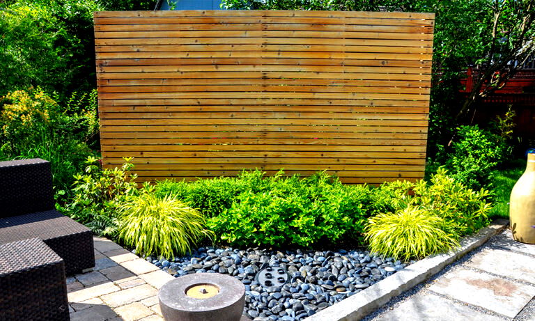 36 Tall Plants for Screening | DIY Garden™