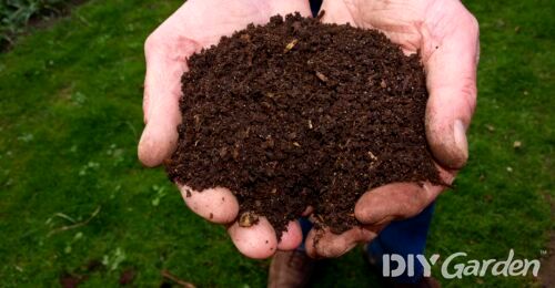 Ericaceous Compost: What Is It + When to Use It (2025 Guide)