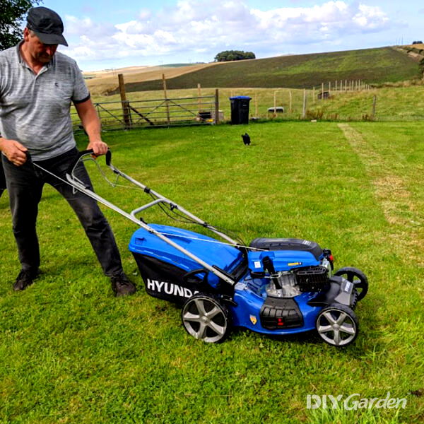 5 Best Petrol Lawn Mowers UK (Tested & Reviewed 2026)