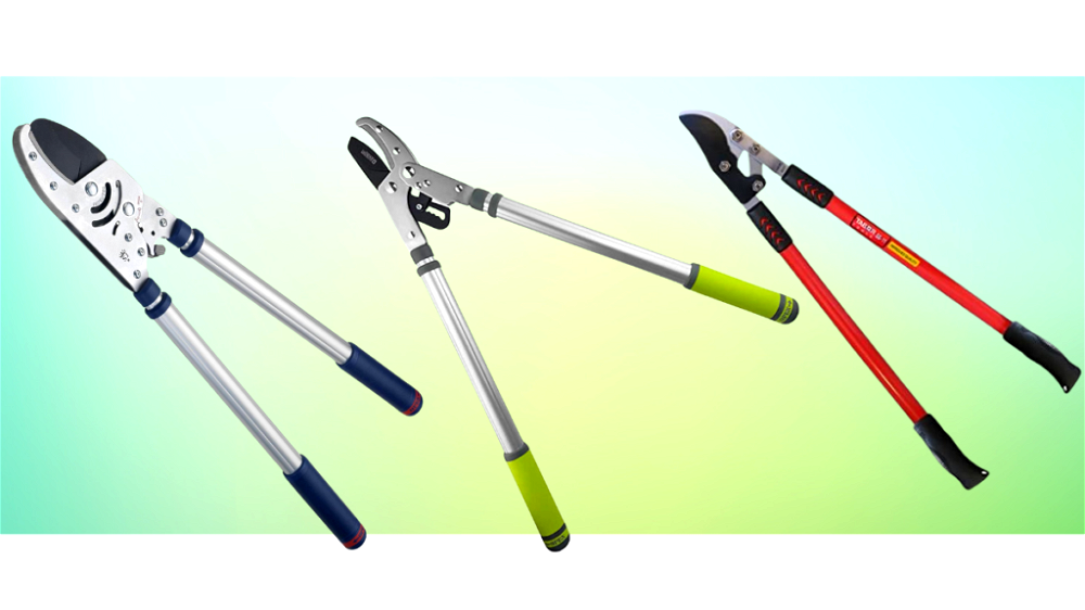 10 Best Garden Loppers for Trees & Branches (2025 Review UK)