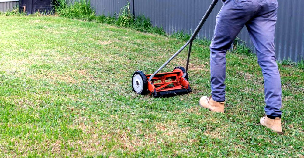 7 Best Lawn Mowers for Small Gardens (2023 Review UK)