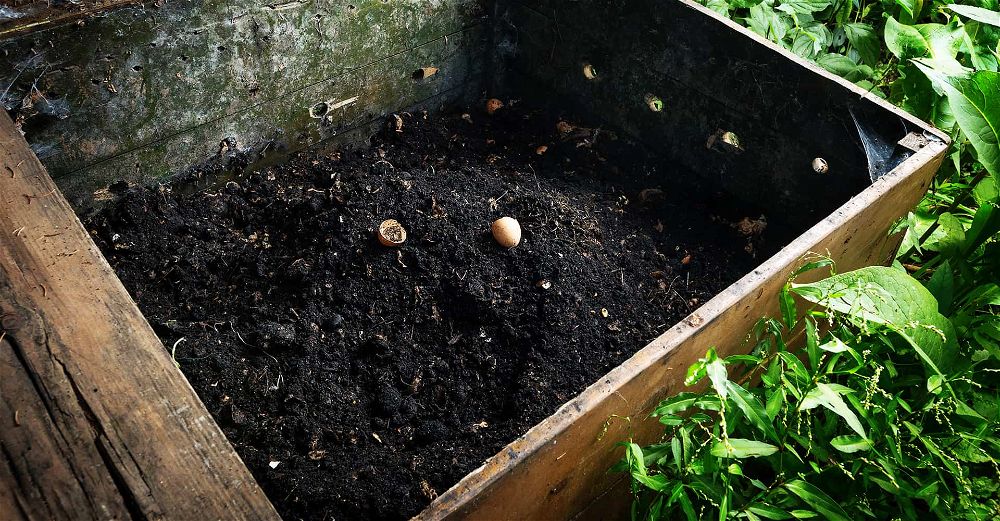 3 Best Compost Aerator Tools to Improve Oxygen Flow (2023)