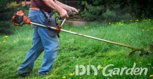 5 Best Petrol Brush Cutters for Brambles (2025 Review UK)