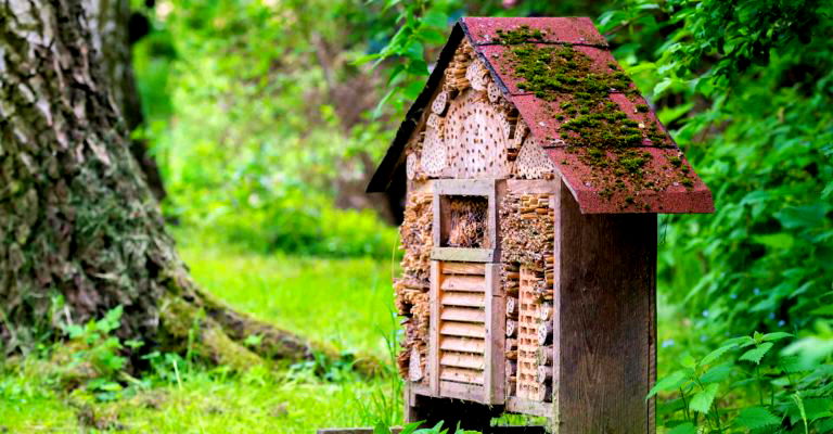 5 Best Garden Wildlife Cameras UK (2022 Review)