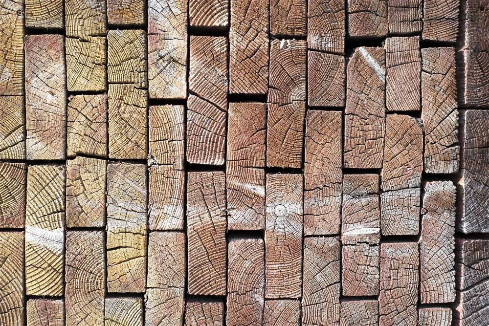 The Ultimate Beginner's Guide To Woodworking! | DIY Garden