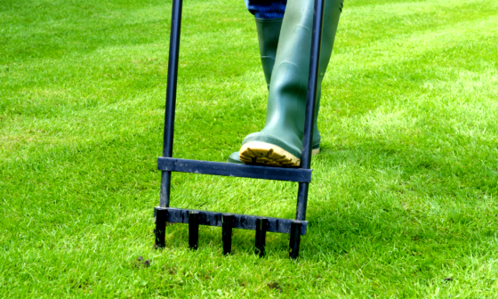 What is Lawn Sand – And Why You Should Use It! | DIY Garden™