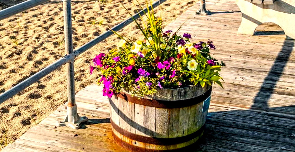 How To Build An Alpine Planter | DIY Garden™