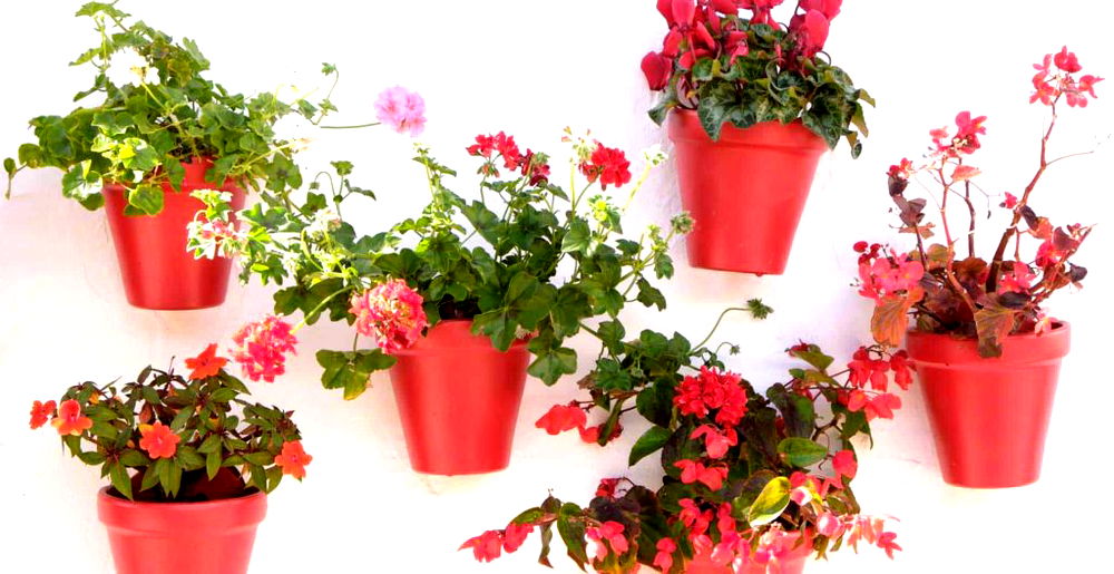 How To Build An Alpine Planter | DIY Garden™