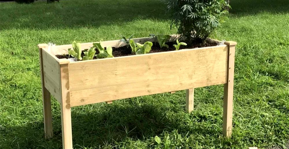 How To Build An Alpine Planter | DIY Garden™