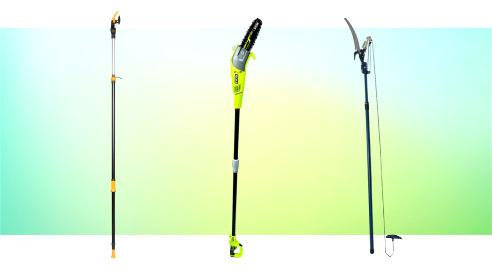 7 Best Telescopic Tree Pruners (2024 Review UK)