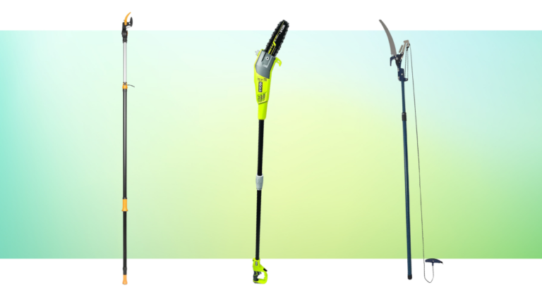 7 Best Telescopic Tree Pruners (2024 Review UK)