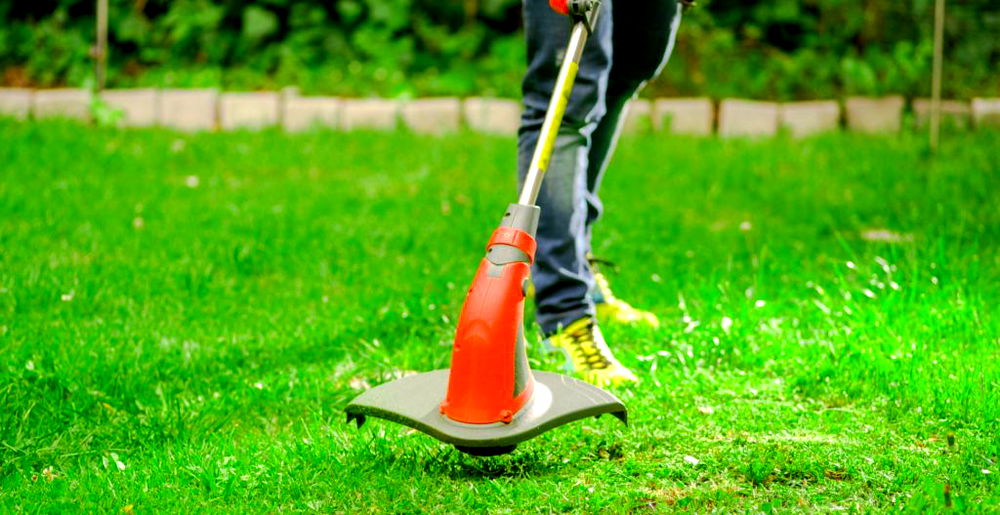 5 Best Petrol Strimmers of 2024 (Heavy Duty & Professional)