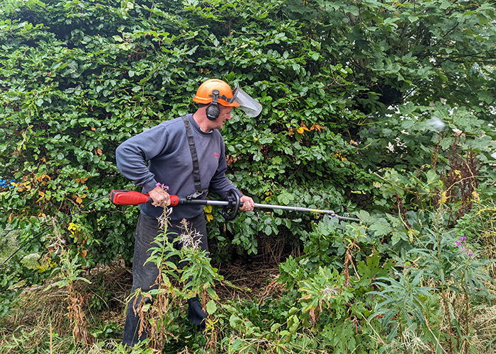 7 Best Telescopic Pole Hedge Trimmers Tested 2025 Review