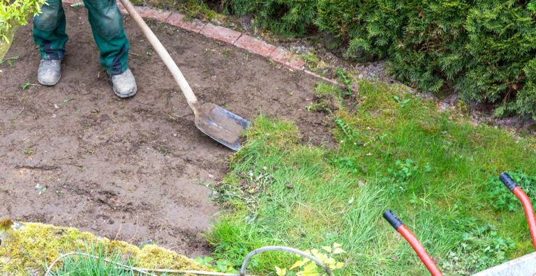 57 Creative Garden Border Ideas: Perfect Your Lawn Edges