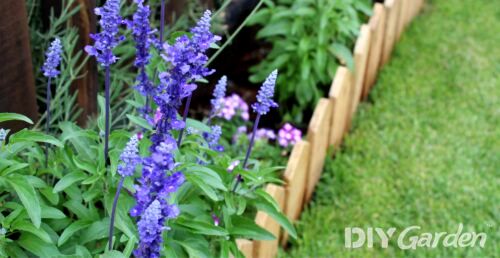 How to Create a Garden Border: The Ultimate Guide (2022)