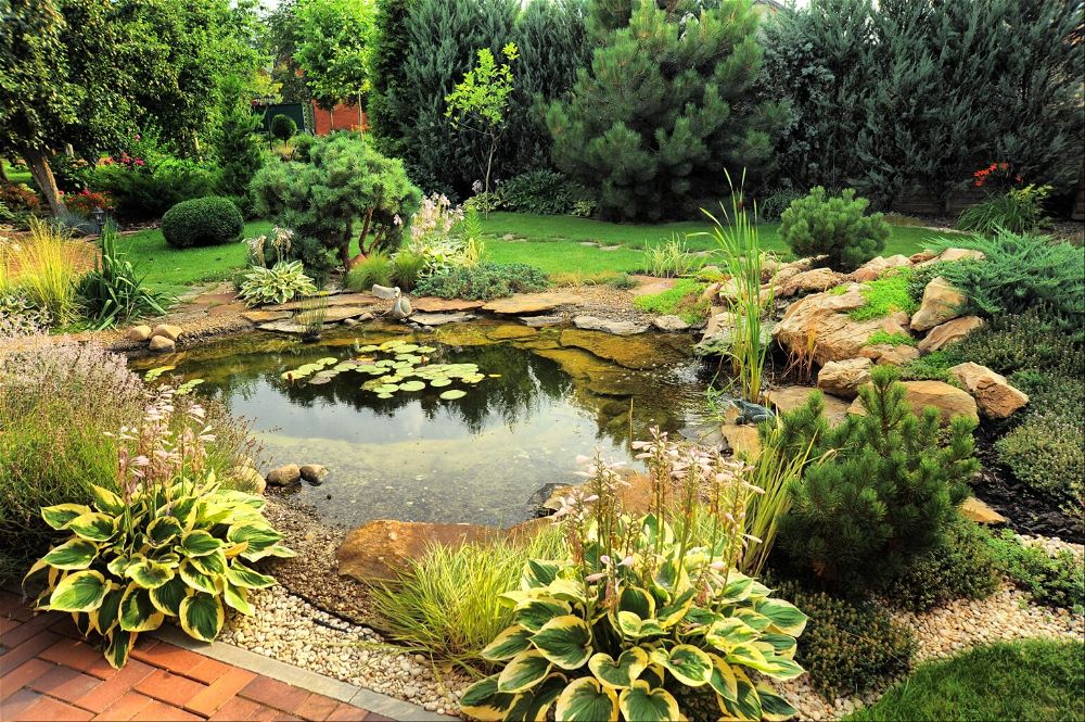 28 Natural Garden Pond Ideas (Raised & Waterfall UK Designs)