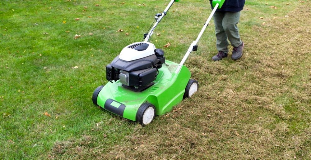 5 Best Lawn Scarifiers & Aerators (Tested & Reviewed 2022)