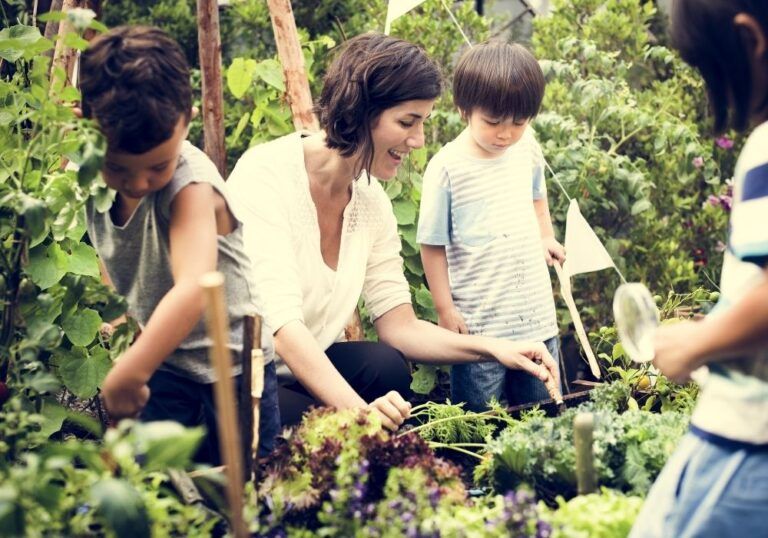 The Ultimate Children's Resource for Growing Projects at School