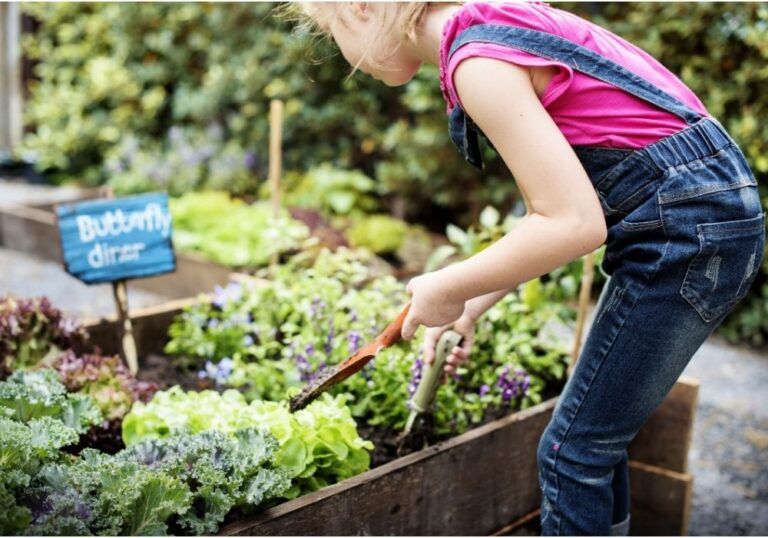 The Ultimate Children's Resource for Growing Projects at School