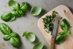 How to Grow Basil Plants in The UK (12 Step Guide)