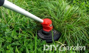 How to Use a Strimmer on Long Grass (In 4 Simple Steps)