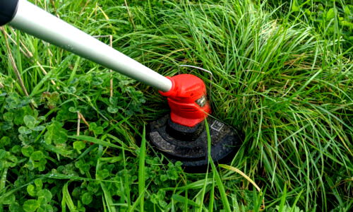 How to Use a Strimmer on Long Grass (In 4 Simple Steps)