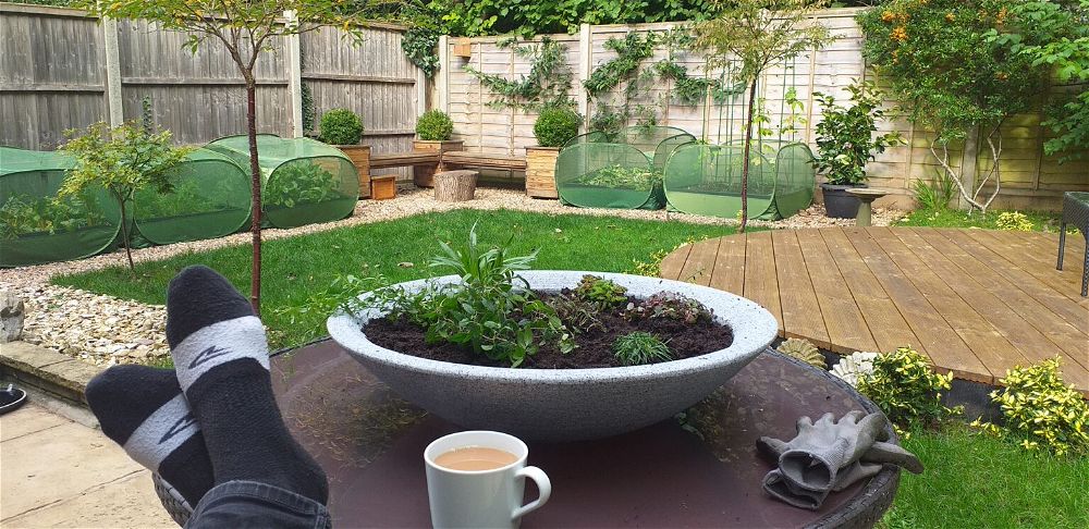 How To Build An Alpine Planter (In 10 Simple Steps!)