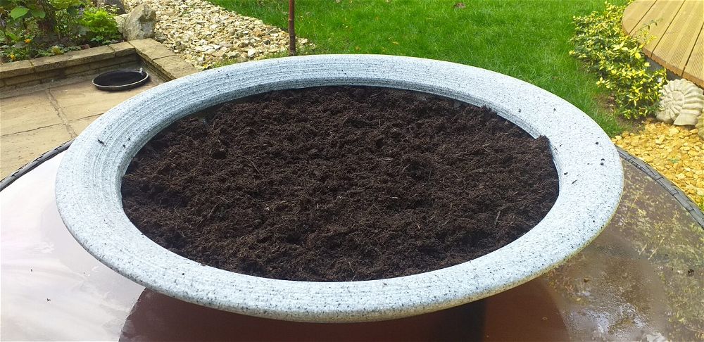 How To Build An Alpine Planter (In 10 Simple Steps!)