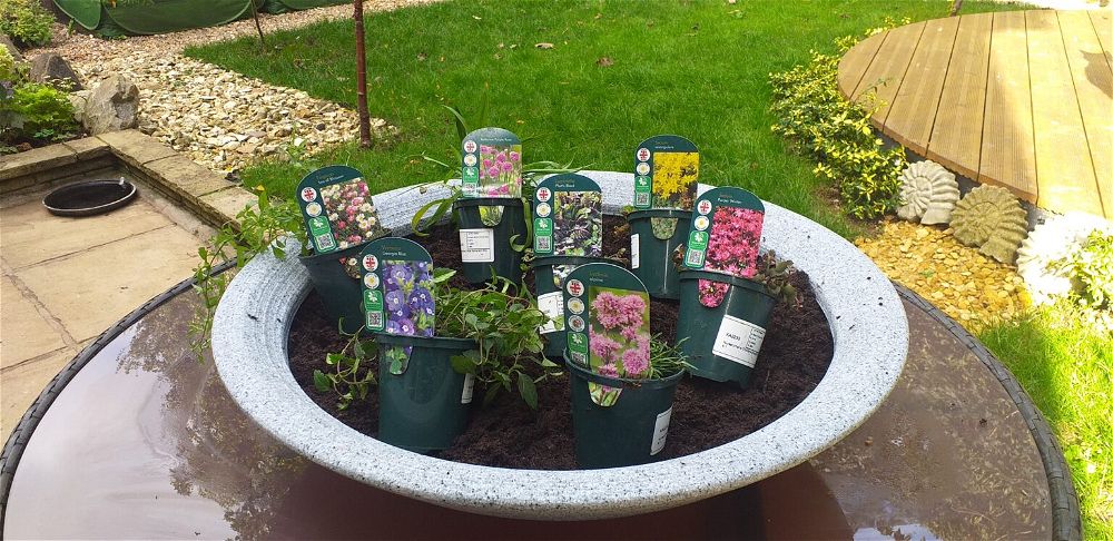 How To Build An Alpine Planter (In 10 Simple Steps!)
