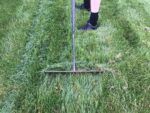 What To Do After Scarifying Your Lawn (Simple Guide)