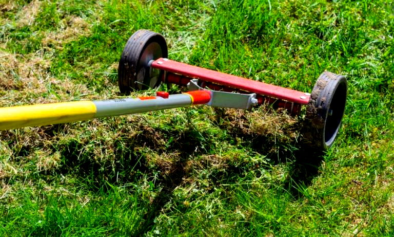 When's The Best Time to Scarify Your Lawn | DIY Garden™