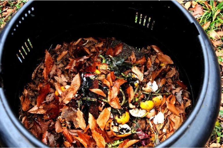 Where To Dispose of Old Compost (+ 4 Ways to Reuse It!)