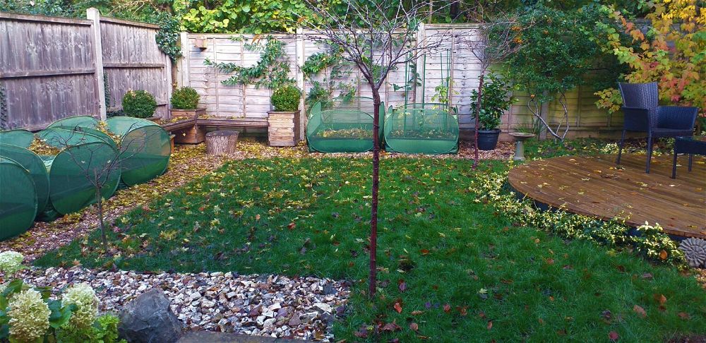 What to Do in The Garden in December (2026 Gardening Guide)
