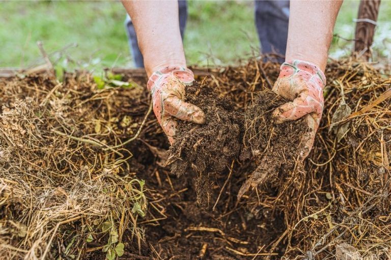 35 Incredible Benefits of Composting (2025 Guide) 35 Incredible Benefits of Composting (2025 Guide)