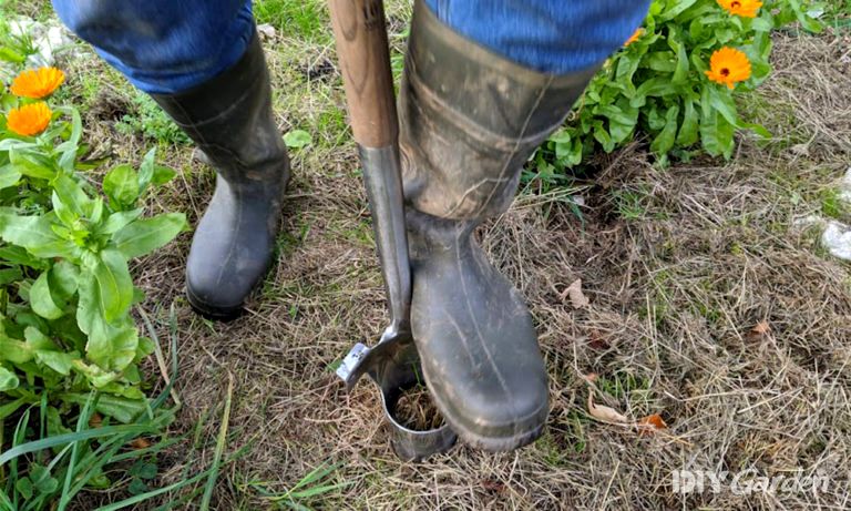 How to Use a Bulb Planter Tool