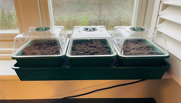 5 Best Heated Electric Propagators (Tested & Reviewed 2024)