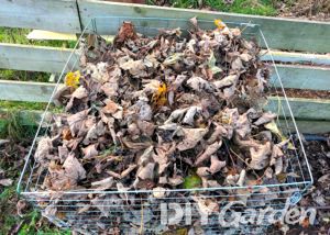 GR8 Garden Metal Wire Mesh Compost Bin (Review & Best Price)