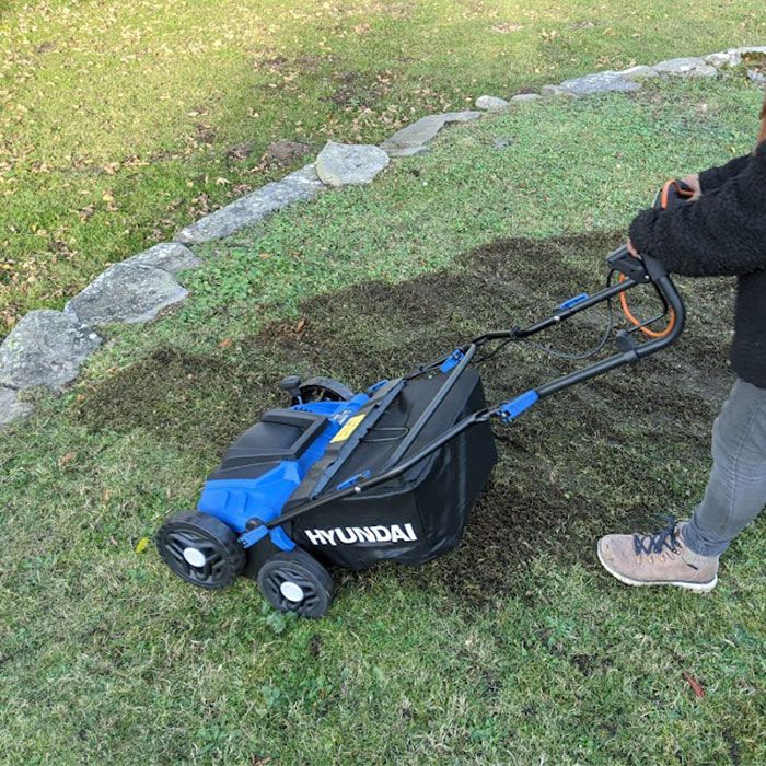 5 Best Lawn Scarifiers to Remove Moss and Thatch (2024)