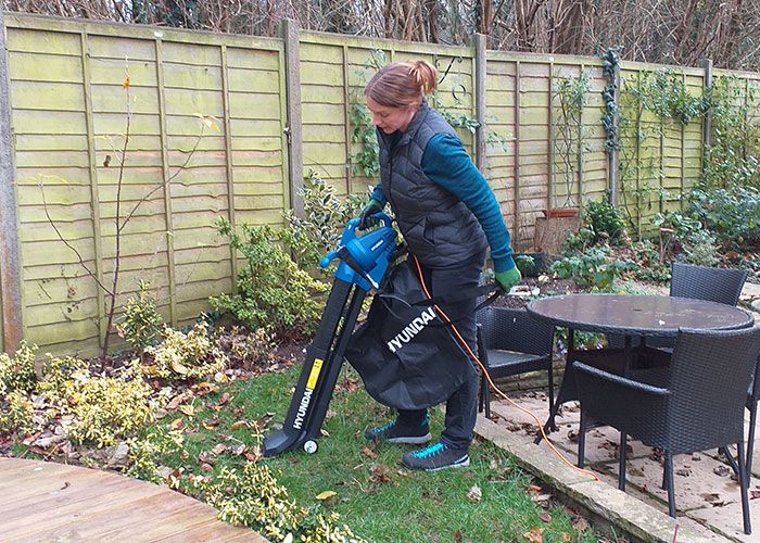 Best garden vac store