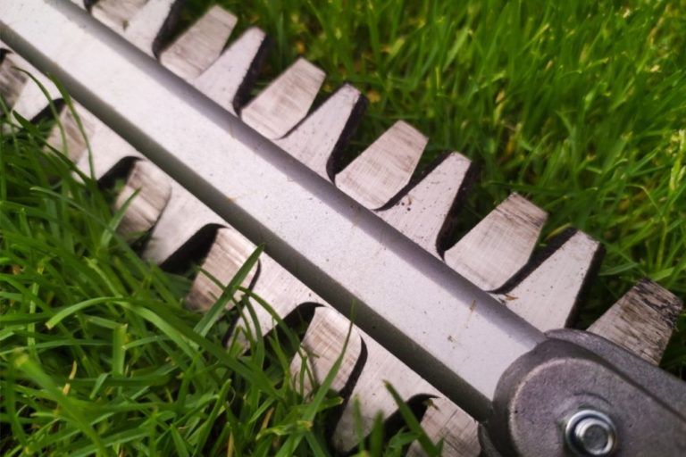 How to Sharpen Hedge Trimmers | DIY Garden™