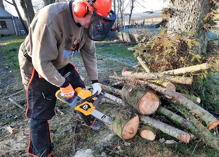 5 Best Petrol Chainsaws UK Tested 2025 Review
