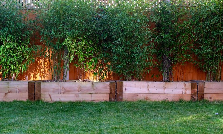 10 Garden Screening Ideas to Make Your Garden a Private Paradise