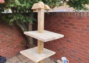 How to Build a Bird Table (10 Step Guide with Pictures)