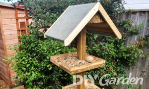How to Build a Bird Table (10 Step Guide with Pictures)