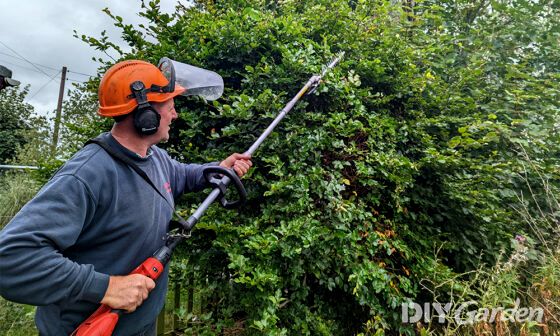 10 Best Telescopic Pole Hedge Trimmers Tested (2023 Review)