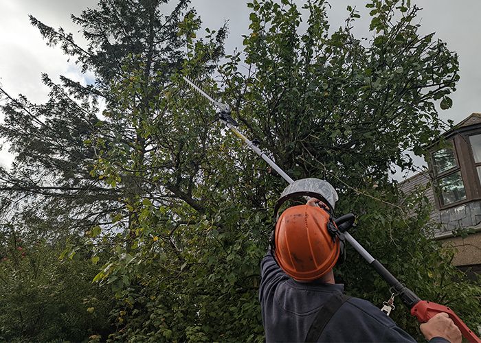 Einhell long reach hedge trimmer store