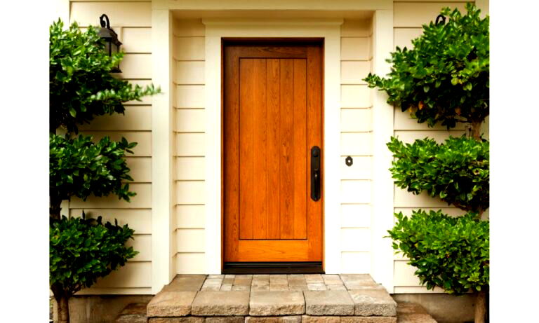 21 Best Plants for Rooms Without Windows (That Won't Die!)