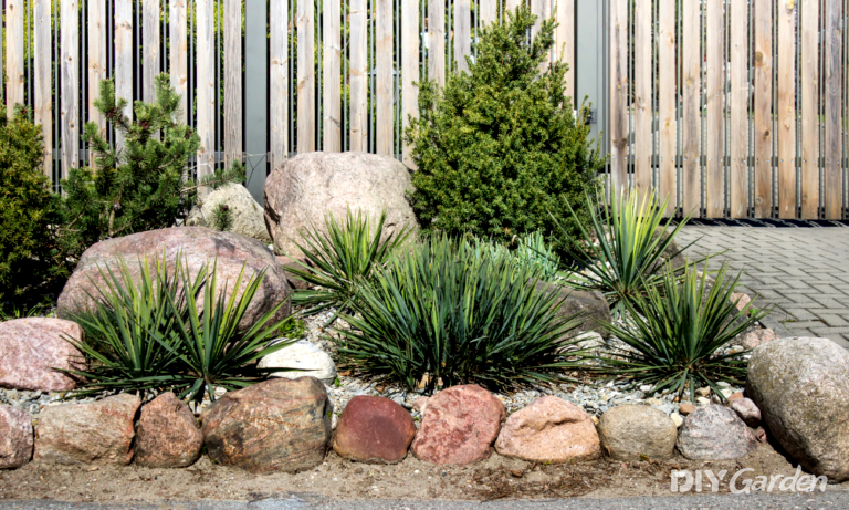 25 Spiky Plants, Hedges & Bushes (For Added Home Security)
